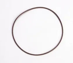 Case IH #190492A1 O-RING