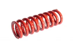 Case IH #48053786 SPRING