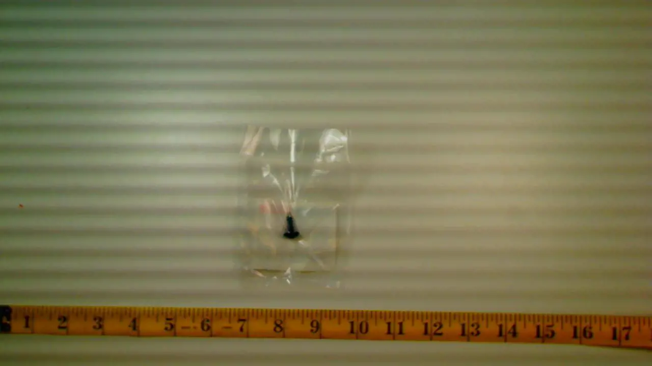 Kubota #TD170-48160 SCREW, TAPPING